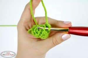 How to Make a Crochet Rope - Easy Tutorial - Nicki's Homemade Crafts