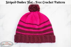 12 Stunning Free Multicolor Crochet Patterns - Nicki's Homemade Crafts