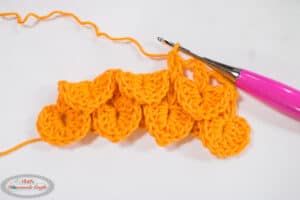 Crochet Crocodile Stitch - Easy Detailed Tutorial and Video - Nicki's ...
