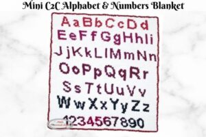 Free C2C Crochet Book Cover with Pockets Pattern - Nicki's Homemade Crafts