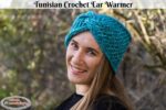 Small Free Tunisian Crochet Windmill Bag Pattern - Nicki's Homemade Crafts