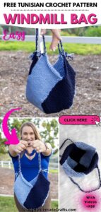 Small Free Tunisian Crochet Windmill Bag Pattern - Nicki's Homemade Crafts