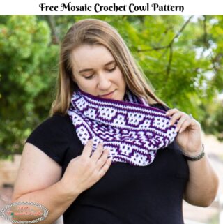 How to do the Reversible Crochet Mosaic Technique Double Sided + 6 Free ...