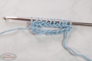 How to Cro-Hook in Rounds AKA Tunisian Crochet in Rounds - Nicki's ...