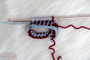 How to Cro-Hook in Rounds AKA Tunisian Crochet in Rounds - Nicki's ...