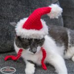 Free Crochet Cat Santa Hat Pattern for Christmas - Nicki's Homemade Crafts