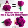 Free Crochet Flower Doll - 2-in-1 Reversible Pattern - 3-Day LIVE ...