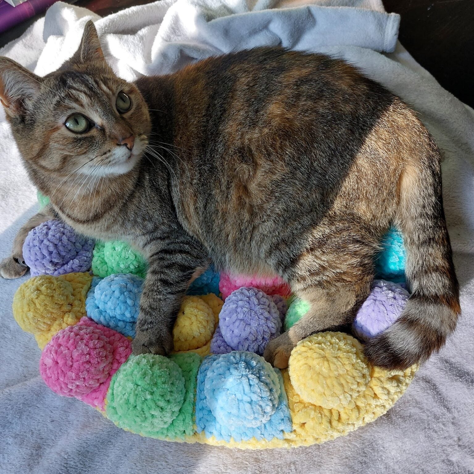 10 Free Super Cozy Crochet Cat Bed Patterns - Nicki's Homemade Crafts