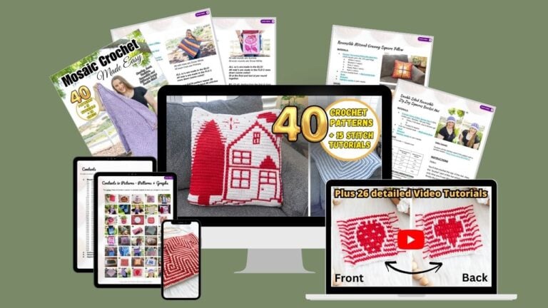 Mosaic Crochet Made Easy - Ultimate Beginner Guide with 40 Crochet ...