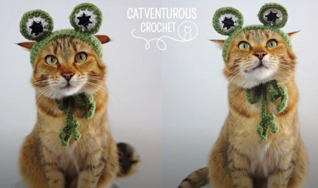 20 Cute Crochet Cat Hat Patterns - Nicki's Homemade Crafts