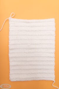 Free Crochet Book Bag - Realistic 2-in-1 Pattern with Many Pockets - 3 ...